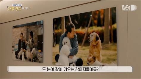 개고기 반대 이유 정치 시사 에펨코리아