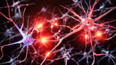 Machine Learning Predicts Mortality Risk In Dementia Patients