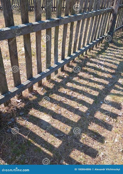 Shadow From The Fence Stock Photo Image Of White Background
