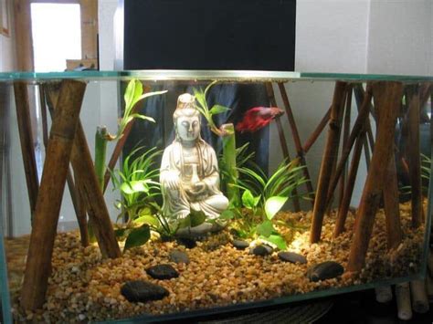 แนวทางดีๆ 🐟 🐠 การจัดตู้ปลาหลากหลายรูปแบบปรับใช้กันได้ครับตู้ปลากัดก็สวย 🌳 ใช้ไม้ไผ่มาตกแต่งเป็น