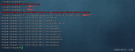 Mongodump工具安装及使用详解mongodump安装 Csdn博客