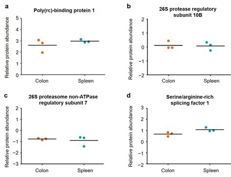 Relative Protein Abundance Plots For A Poly Rc Binding Protein 1 Download Scientific Diagram