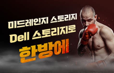 스토리지 인프라 고민은 Dell 미드레인지 스토리지로 한방에 해결해보세요 B2b It 미디어 플랫폼