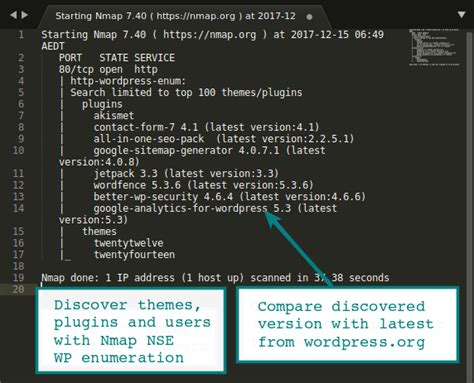 Wordpress Security Scan