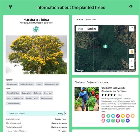 Hritik Raj On Linkedin I Am Thrilled To Announce That I Have Successfully Completed Hacktoberfest…