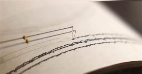 Sismo De 41 Sacude Tonalá Chiapas Esto Se Sabe