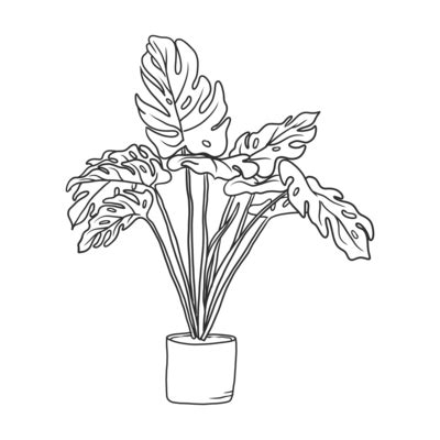 House Plant Illustration Black And White Pngs For Free Download