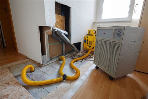10 Insurance And Restoration Tips Discount Water And Mold Removal