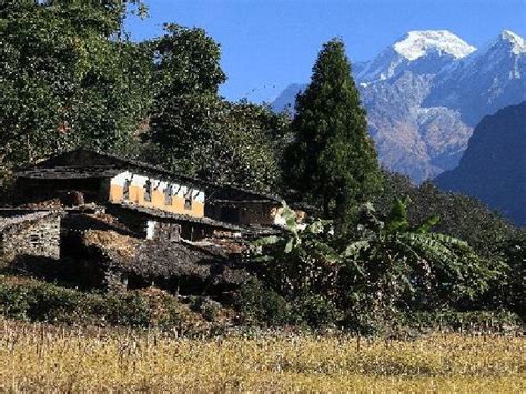 Dhampus Peak Climbing