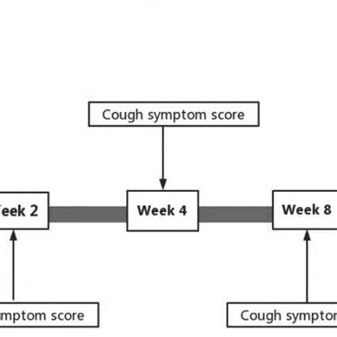 Outcome Indicators During Follow Up Download Scientific Diagram
