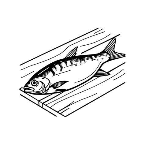 Premium Vector Hilsa Hilsha Ilisha Design Labeled Line And Fill Art