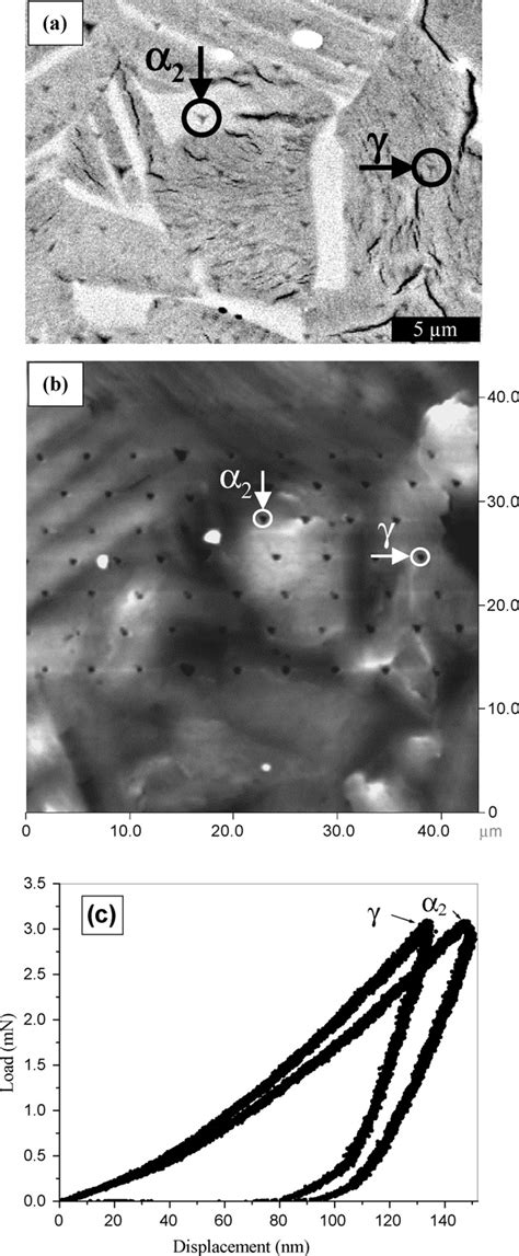 a scanning electron micrographs bse mode of an array of indents