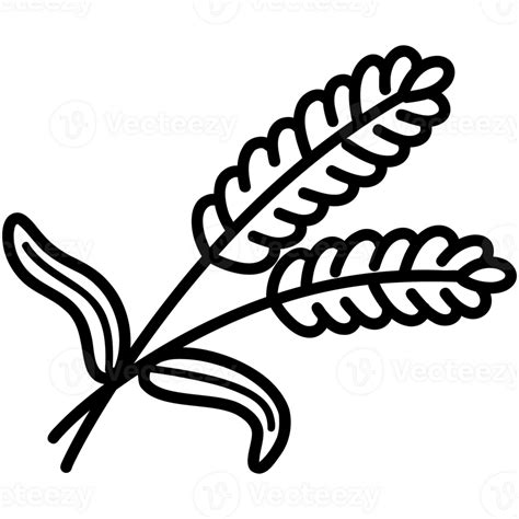 Two Wheat Plant 55795614 Png