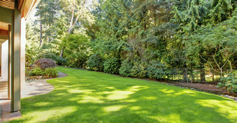 How Often To Fertilize Lawn In Nashville Opportunity Landscapes And
