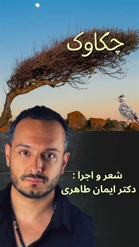 چکاوک شعر و ‌اجرا دکتر ایمان طاهری شعر فارسی شعرفارسی شاعر