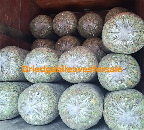 Dried Gabi Leaves For Sale Bula