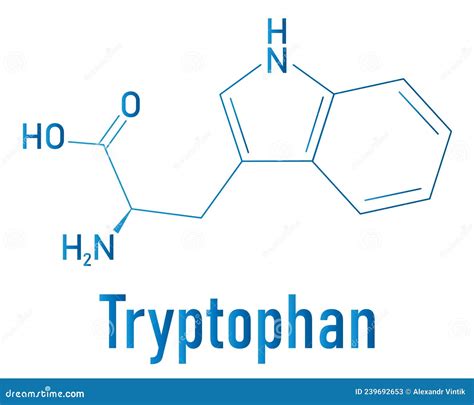 Triptofano Ou Ltryptofano Trp W Molécula De Aminoácidos Fórmula Esquelética Ilustração Do