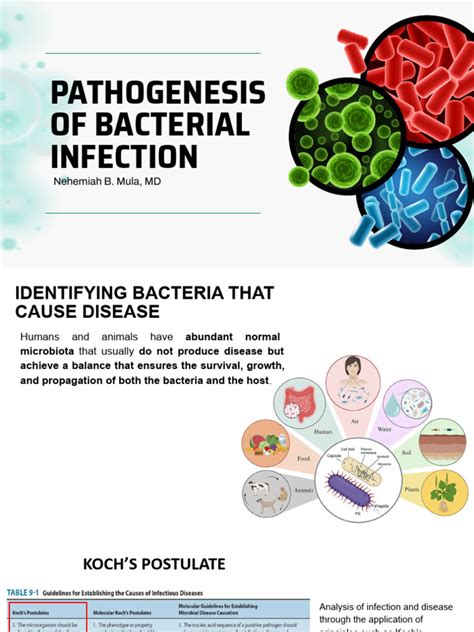 Microbiology Pathogenesis Of Bacterial Infection Pdf Bacteria