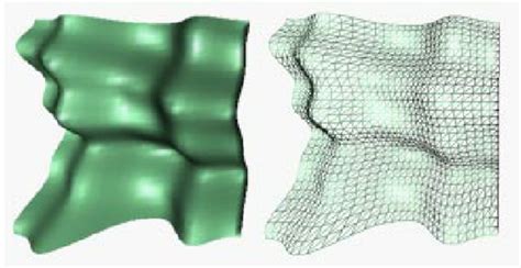 These Curves Show Obvious Convergence Of The Measured Surface Area