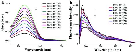 Concentration Dependent A Uvvis Spectra Of Peptide 3b The Plot