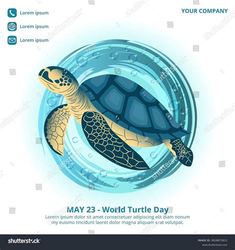 Stop Turtle Trade Over 4 Royalty Free Licensable Stock Illustrations And Drawings Shutterstock