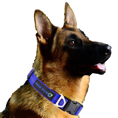 Best Shock Collar For German Shepherd