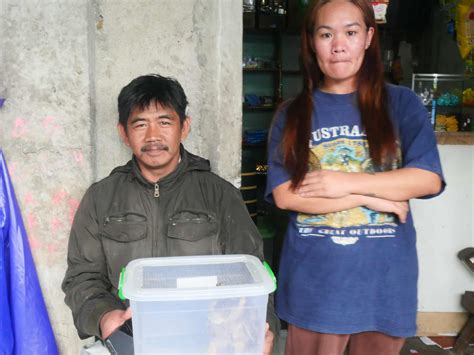 Newt Doctor Danielle Dolipas One Of The Newts Veterinarians Talks