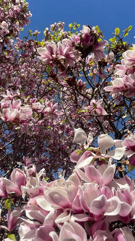 Brydee Rose This Is A Verse Or Two From A Song Ive Been Working On