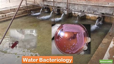 Water Bacteriology Introduction Testing Methods Test Requirements Test