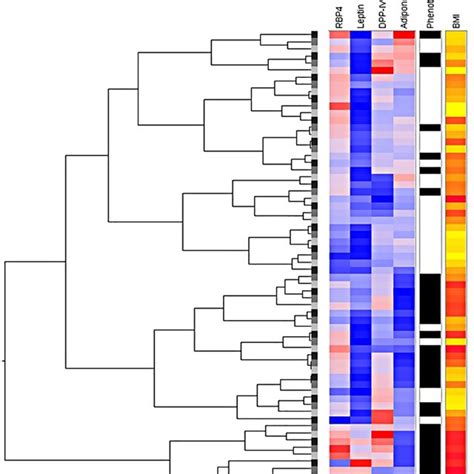 Hierarchical Cluster Analysis In Women With Hyperandrogenic PCOS And Download Scientific