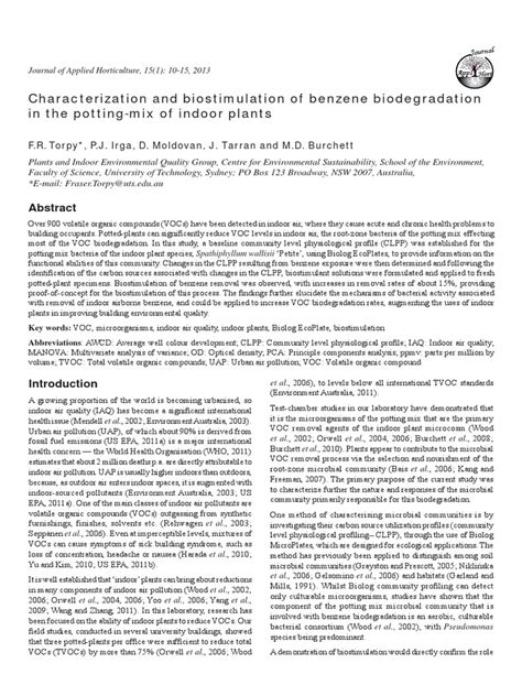 Characterization And Biostimulation Of Benzene Biodegradation In The Potting Mix Of Indoor
