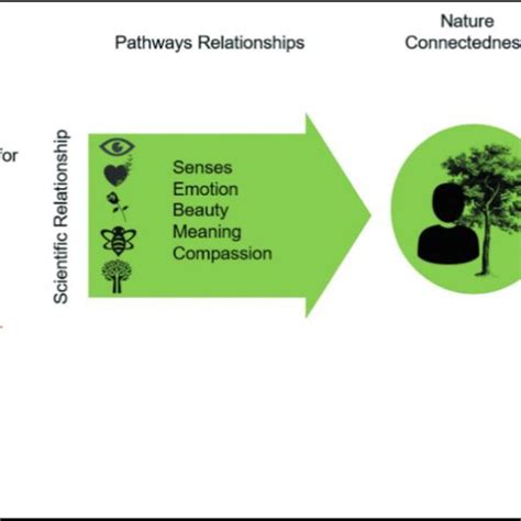 The Three Dimensions Of Learning In The Esd For 2030 Download