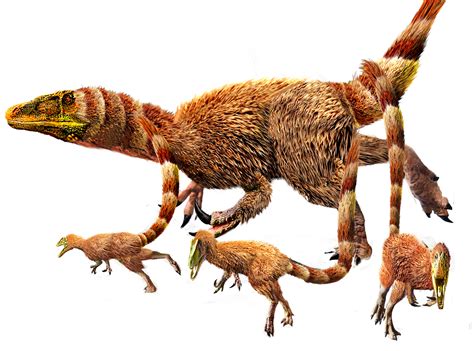Sinosauropteryx Sinosauropteryx Is The First Feathered Dinosaur
