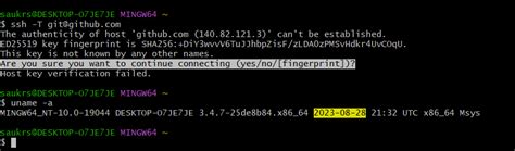 Github Communication Error · Issue 71 · Msys2msys2 Installer · Github