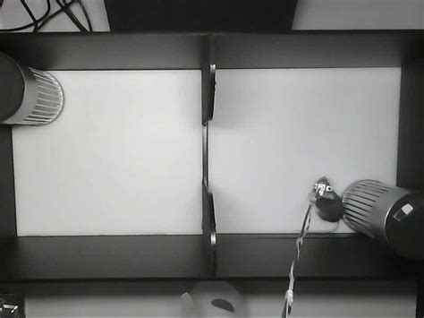 Mouse Nose Object Detection Dataset By Peking University