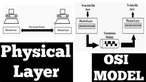 Physical Layer Osi Model Basic Concepts Youtube
