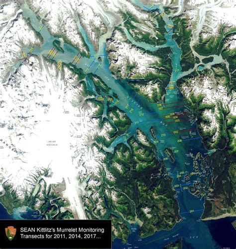 Line Transects Surveyed For Murrelets In July 2017 Permanent Red
