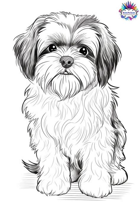 Desenho Para Colorir Cachorro 220 Imagens De Várias Raças