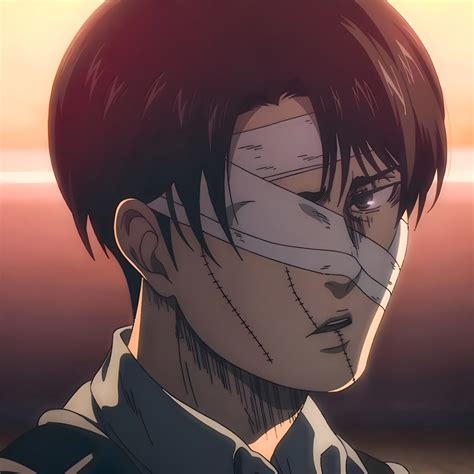 Pin By Rev On Icons Attack On Titan Levi Attack On Titan Levi Ackerman