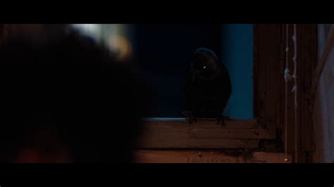 Knifeheart Blu Ray Vanessa Paradis