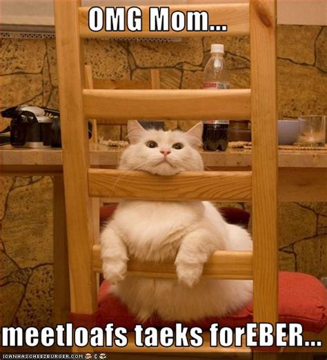 True Book Addictbooks Cats And More Cat Thursdayhappy Mothers Day