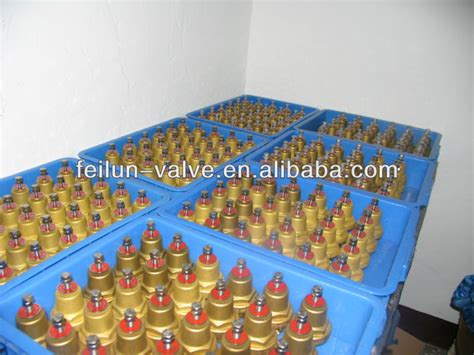 Dys 06 Brass Cryogenic Pressure Building Regulator Screwed Ends For