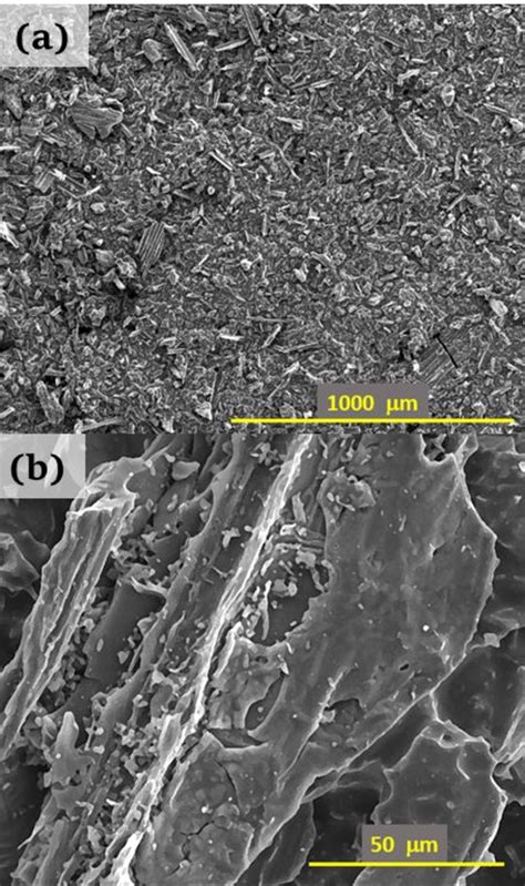 SEM Images Of TiO 2 AC Photoanode Surface In 80x A And 1200x B Download Scientific Diagram