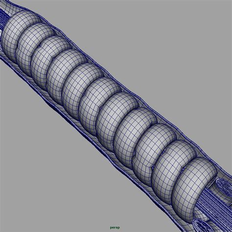 Human Sperm Cell Structure 3d Model 79 Ma Obj Fbx Free3d