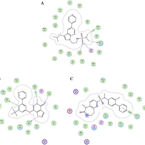 Binding Mode Prediction And Mdmmpbsa Based Free Energy Ranking For