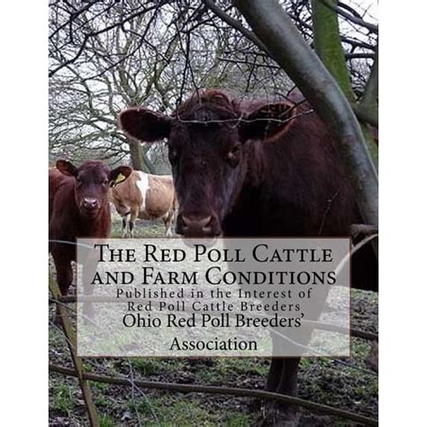 The Red Poll Cattle And Farm Conditions Published In The Interest Of
