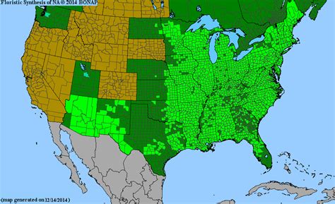 2013 Bonap North American Plant Atlas Taxonmaps