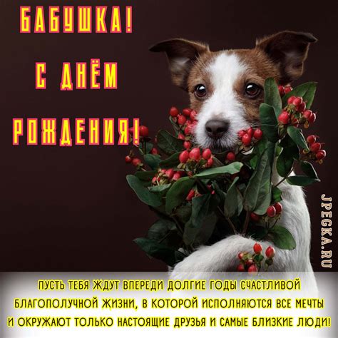 Красивые открытки С Днём Рождения бабушке 67 картинок