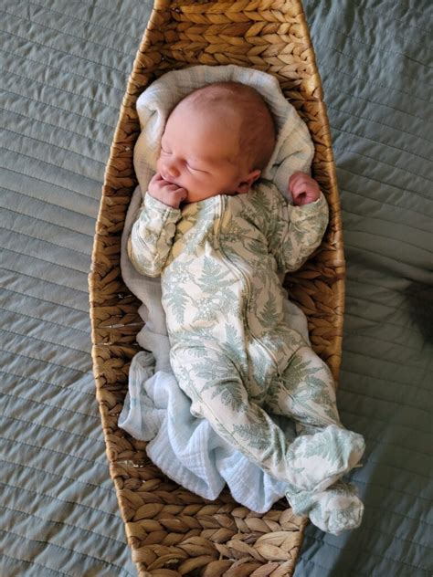 Laura Terry Class Notes