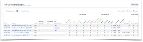 Xray Test Execution Report